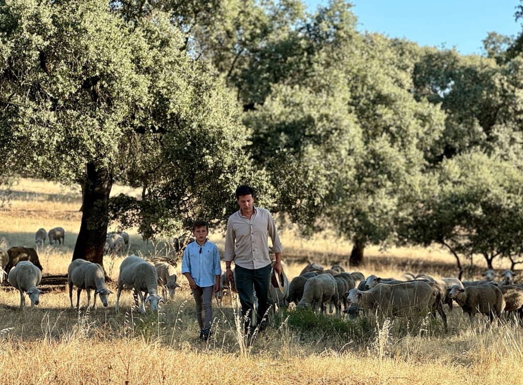 Rulo de cabra: qué es, propiedades y cómo disfrutarlo - Corsevilla